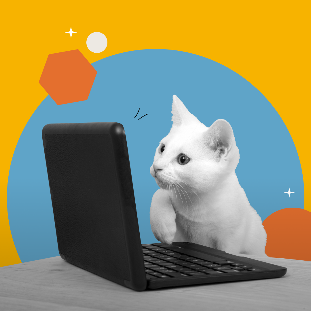 Keep Left | PR, Content and Creative Agency